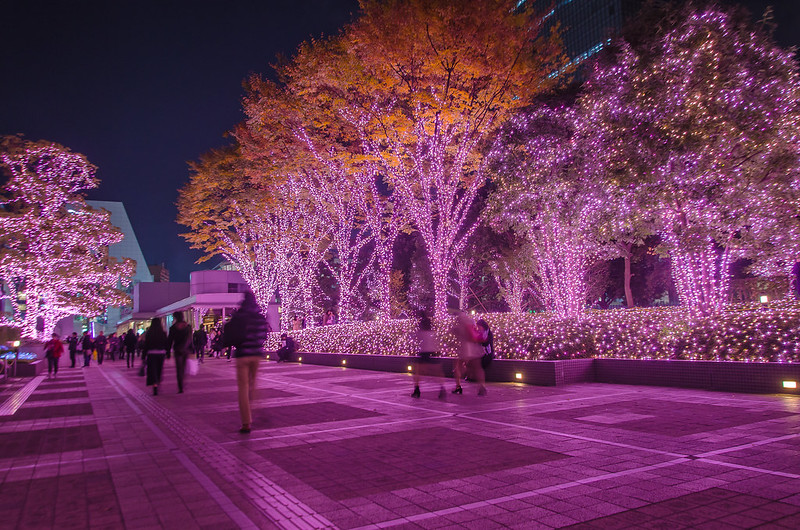 Spectacular Seasonal Illuminations in Japan | KCP International